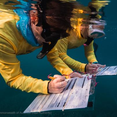 Research permits | Reef Authority